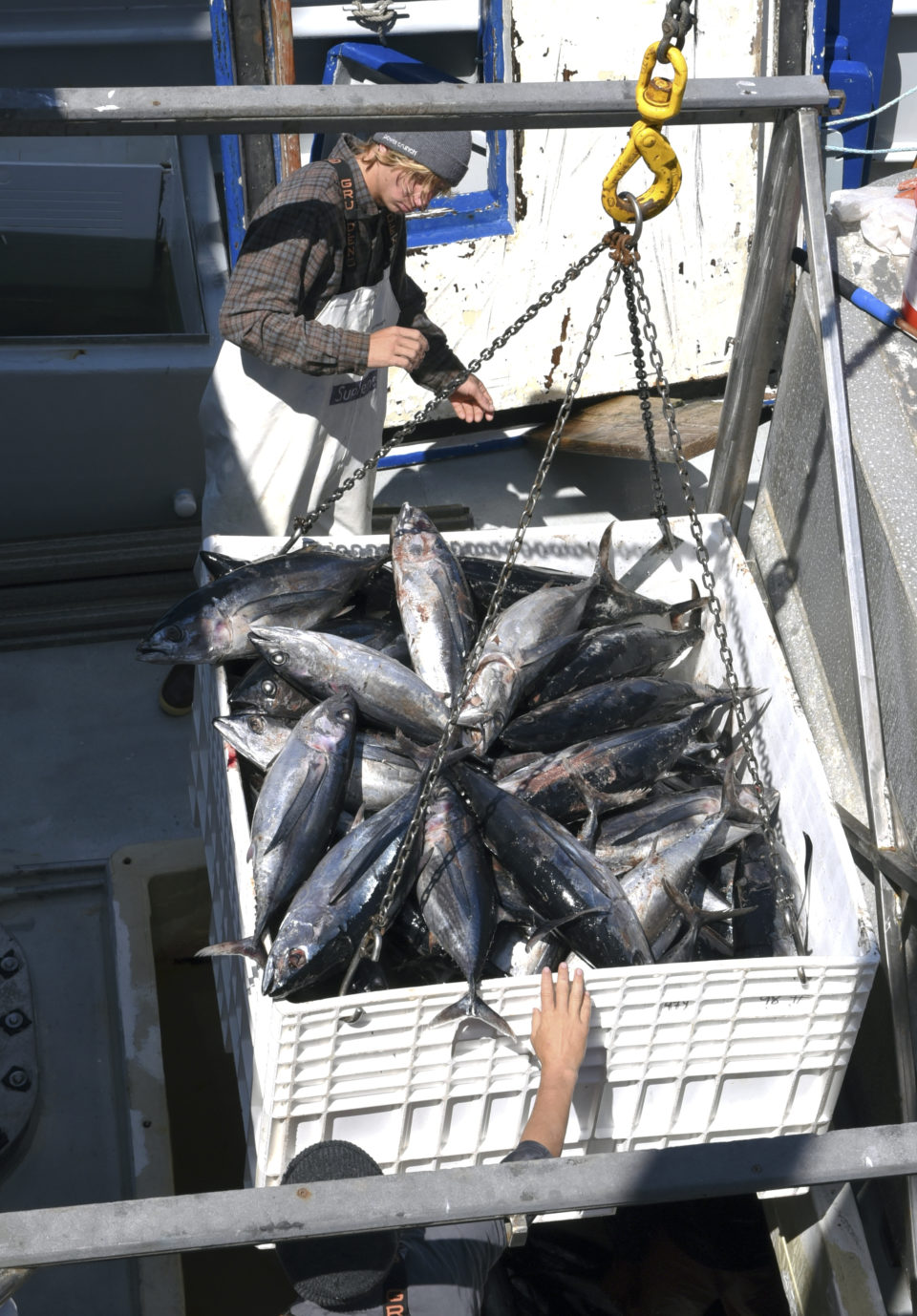 Tuna capital | Washington Coast Magazine